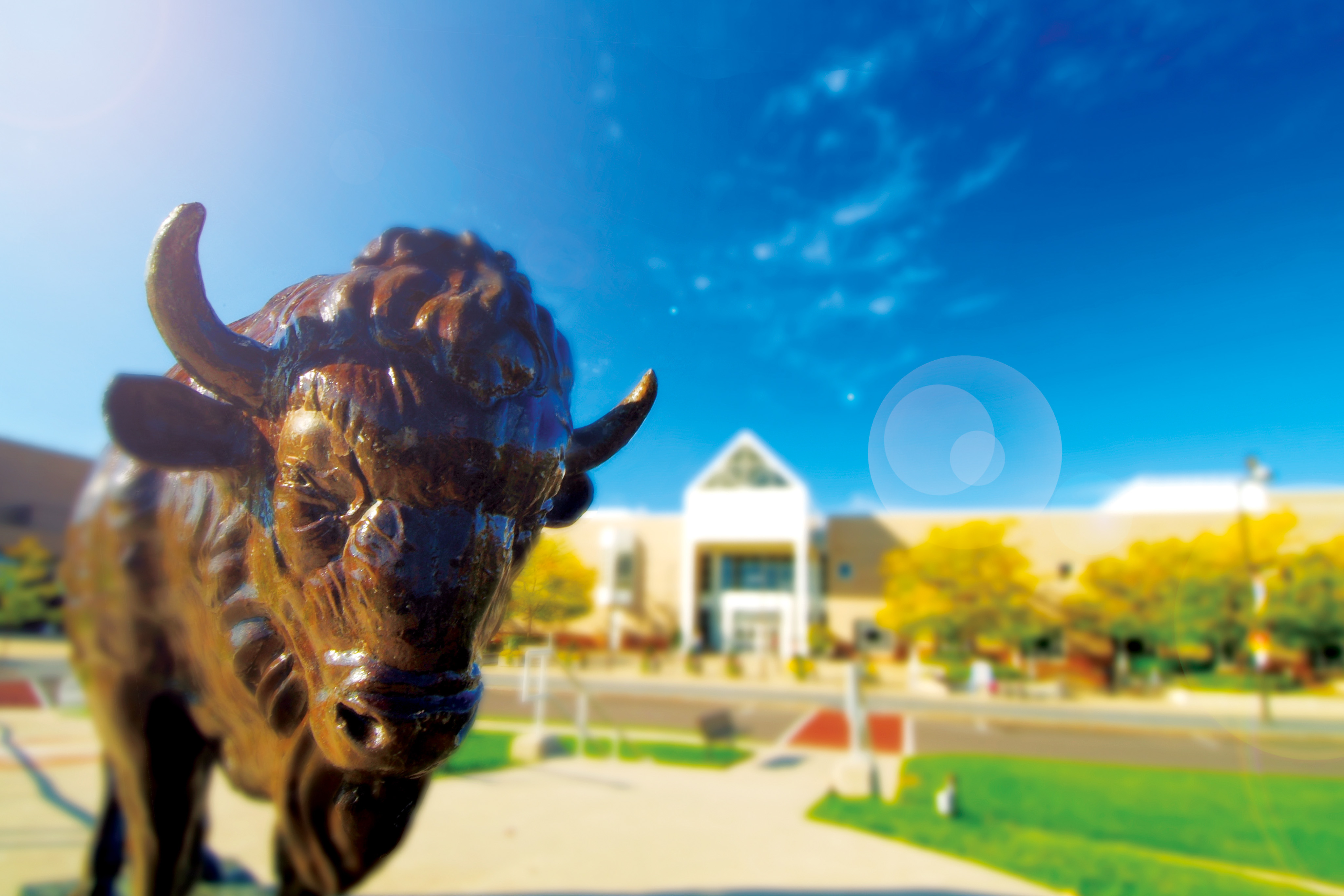 Seven things you should know about the University at Buffalo - UBMD ...
